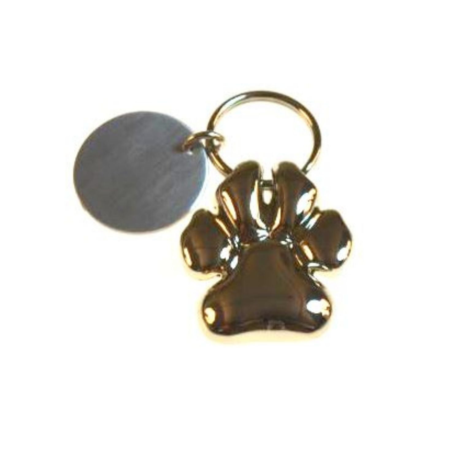 Big Dog Paw Pet Tag - Mister Minit